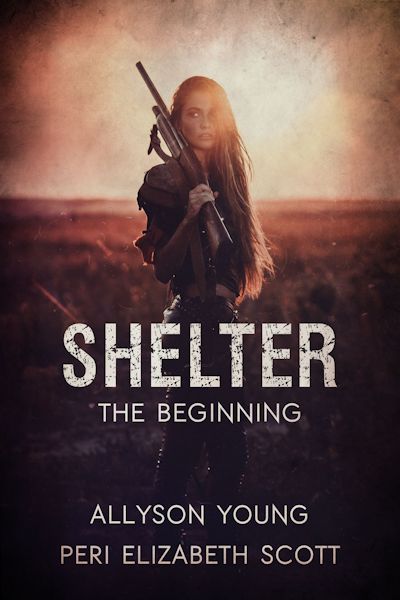 a look at ‘Shelter: The Beginning’ by Allyson Young aka Peri Elizabeth ...